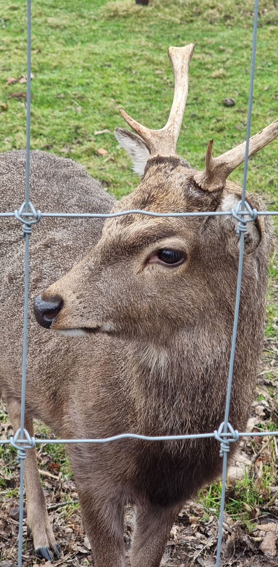 Sky Park Farm – WrAnTz